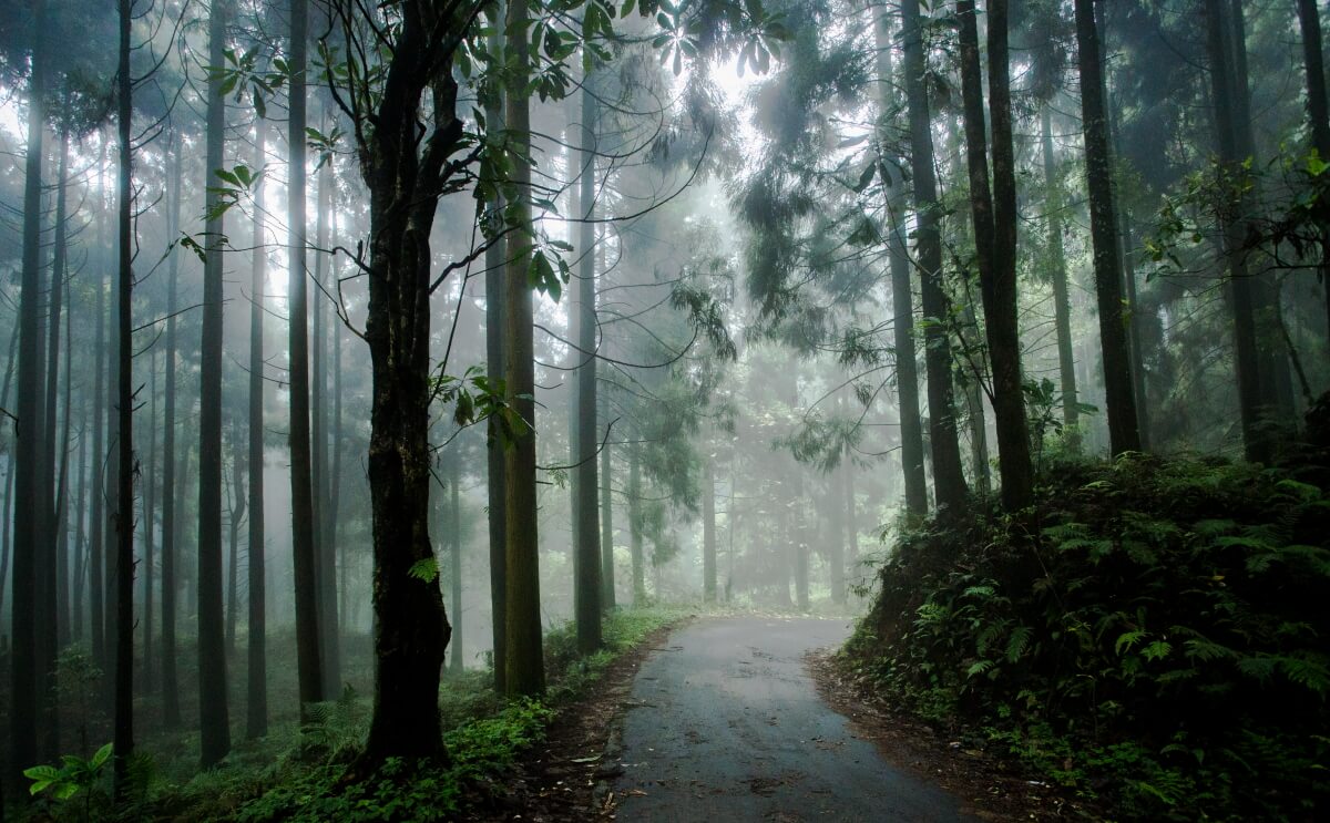 Lava Rishav Lolegaon 3 Nights / 4 Days - Fly High Holidays - Travel ...